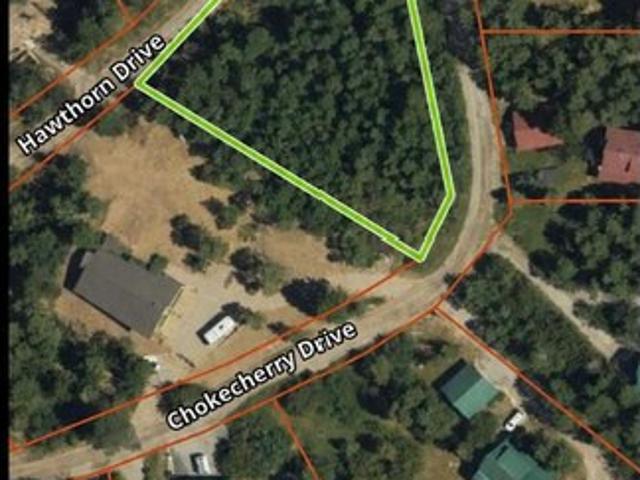Chokecherry Dr Lot 38, Alpine, WY 83128