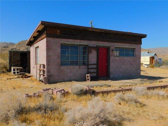 Cholla, Johnson Valley, CA 92285