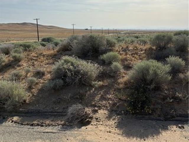 Cholla Rd, Helendale, CA 92342