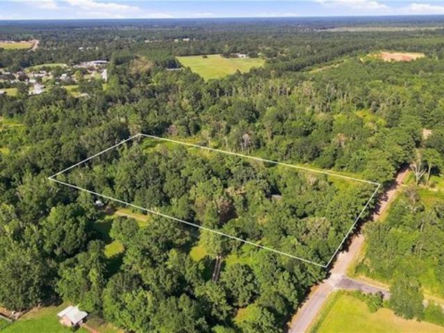 Chateau Farm Rd Lots 40 & 41, Loranger, LA 70446
