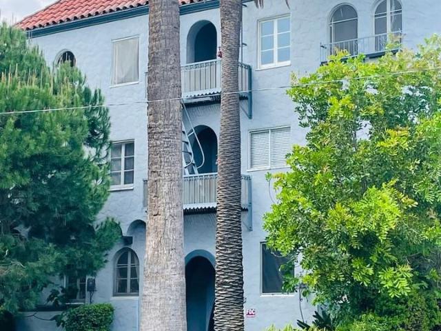 Chateau Lily Chateau Lily LLC Studio Apartment for Rent at 323 E Lomita Ave, Glendale, CA 91205 Mariposa