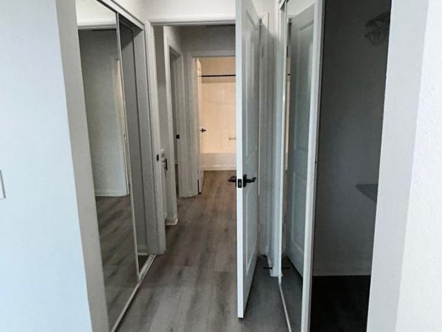 Chateau Toluca Apartments 1 Bedroom Apartment for Rent at 10650 Moorpark St, Los Angeles, CA 91602 Greater Toluca Lake