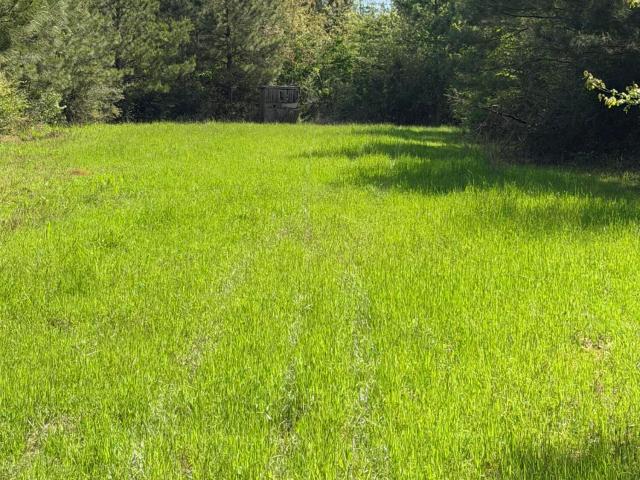 Chathaw Path, Smithdale, MS 39664