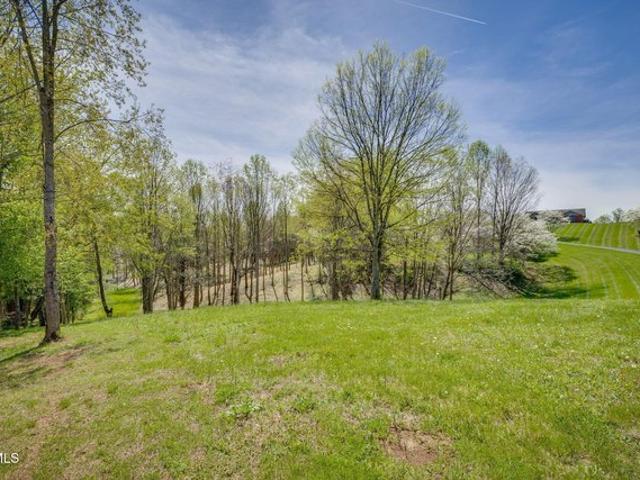 Chaucer Ct, Johnson City, TN 37615