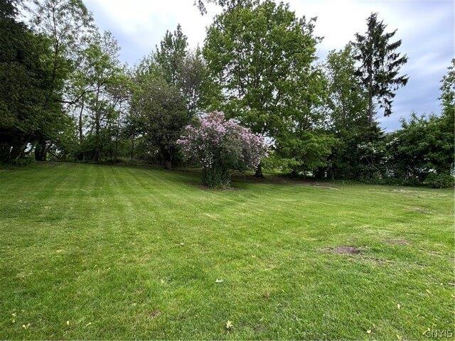 Chaumont NY 13622 103621913