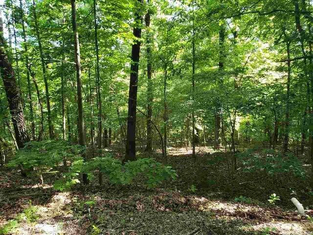Chautauqua Dr, Cherokee Village, AR 72529