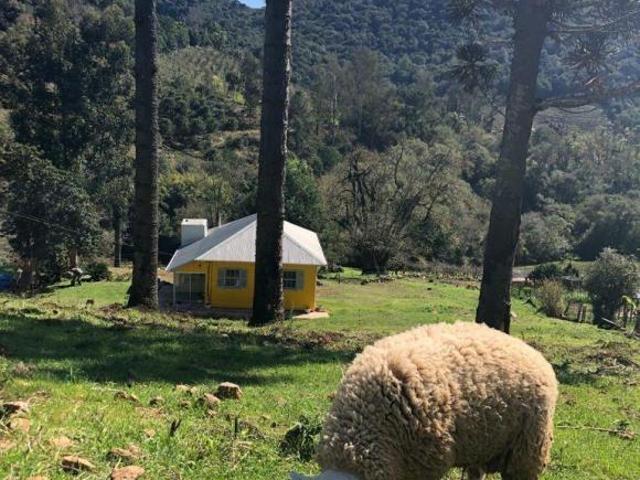 Chácara com riacho e 2 casas reformadas, tudo muito lindo. 15 Km da RS 122, Monte Bérico