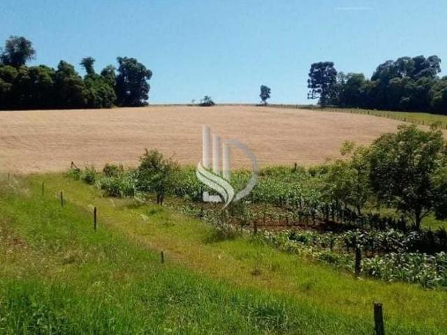 Chácara em Ibirubá/RS