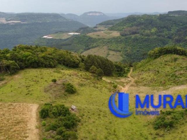 Chácara em Santa Lucia do Piai