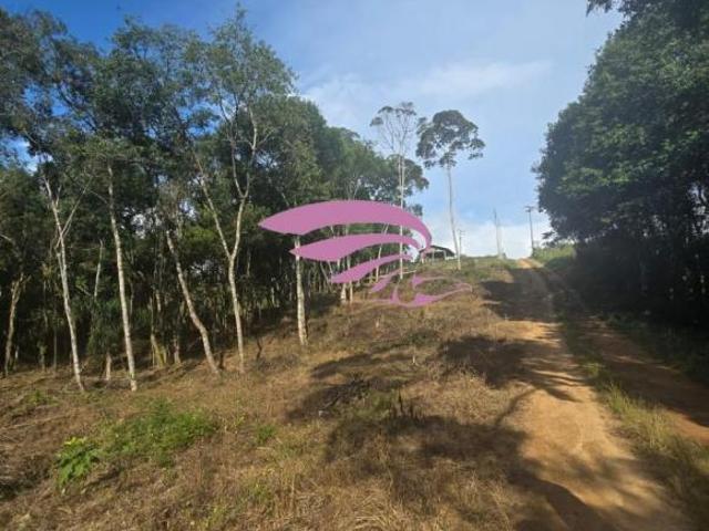 Chacara, Malhada, São José dos Pinhais, PR
