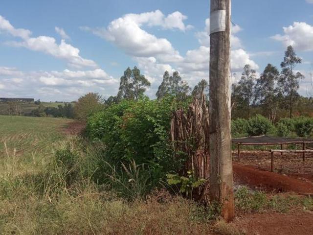 CHACARA MARAVILHOSA, LINDO IMOVEL 1 ALQUEIRE, PROXIMO AO RESTAURANTE PORCO NO TACHOESTRADA ITA, 24