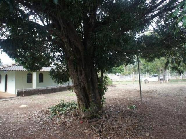 Chacara, Matão, Alfenas, MG