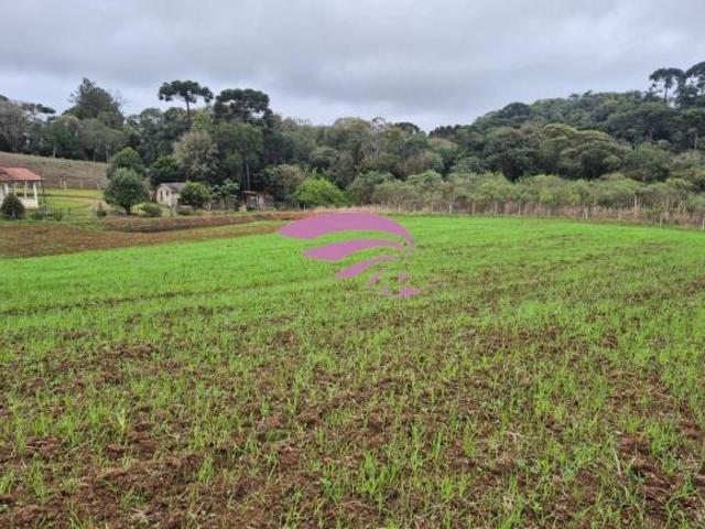 Chacara, Miringuava, São José dos Pinhais, PR