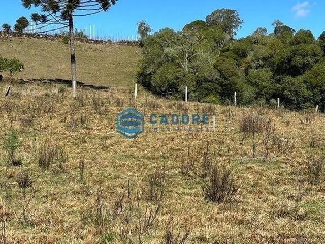 CHÁCARA NA CRIÚVA com 20,000m²
