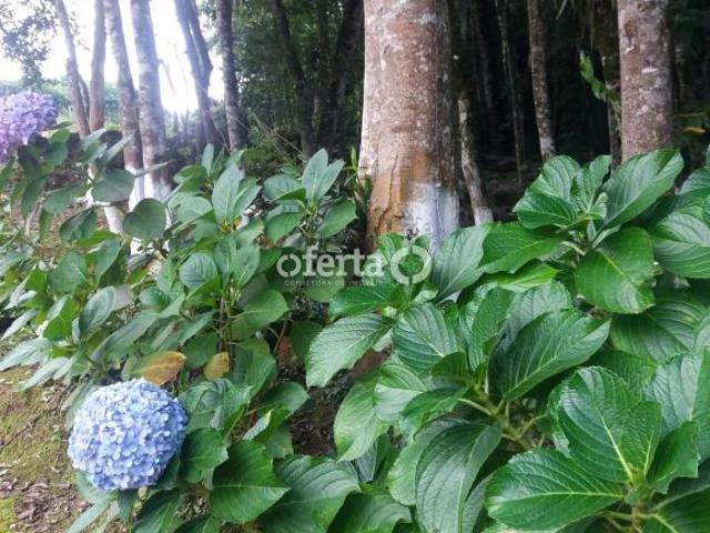 Chácara na Lapa