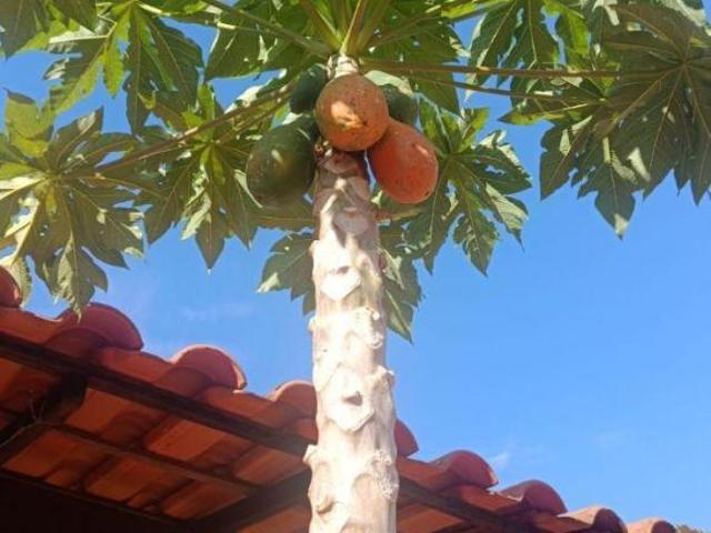 Chácara na região da Serra do Cipó