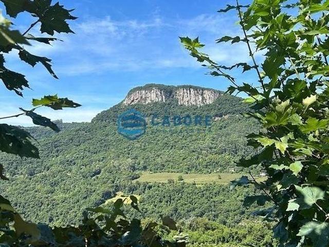 CHACARA NA 3ª LÉGUA com 20.000m²