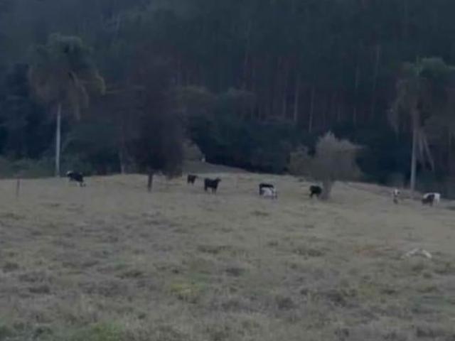CHACARA NATIVIDADE DA SERRA BAIRRO MONTE ALEGRE