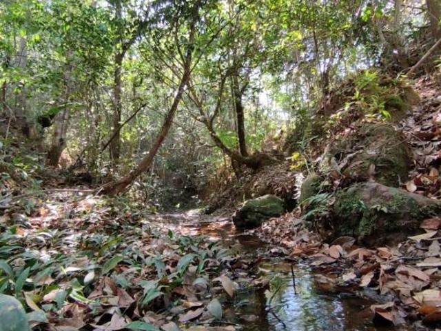 Chácara no Altiplano Leste com vista incrível, mata nativa. Ideal para Airbnb