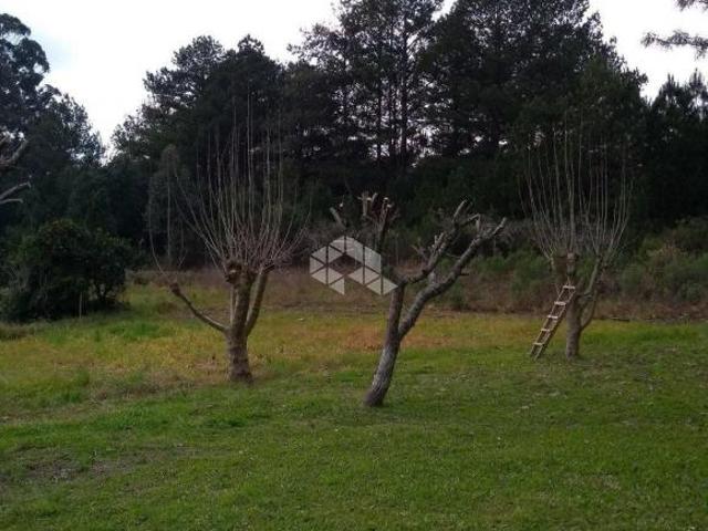 Chácara no Bairro Samuara em Caxias do Sul