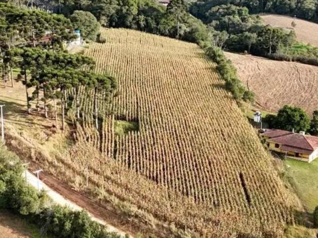 Chácara no Caminho do Vinho