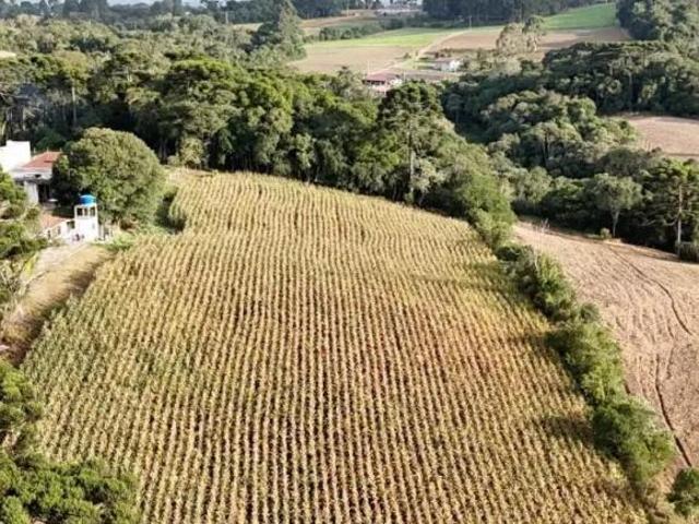 Chácara no Caminho do Vinho