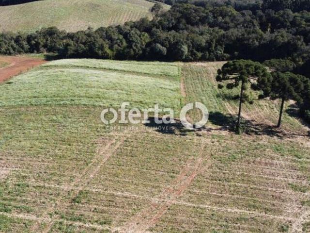 Chácara no Campestre Araucária