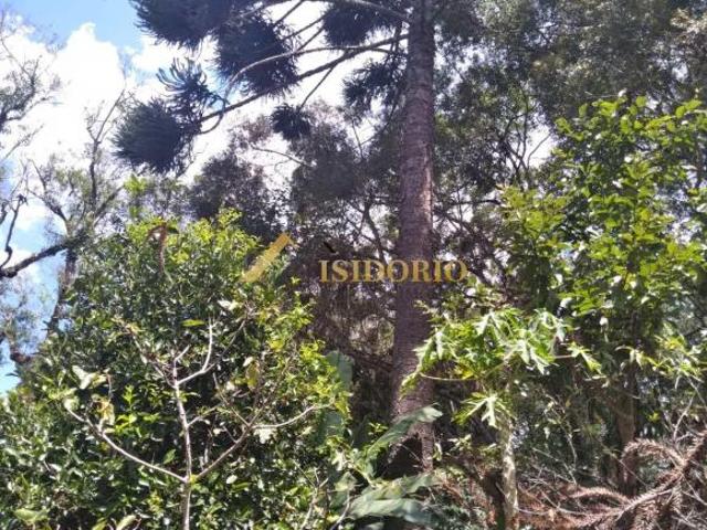 Chácara Centro Campina Grande do Sul R$ 455.000,00 Ref: PRO4249