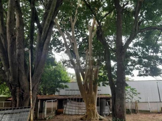 Chácara no Jockey Club para venda e locação