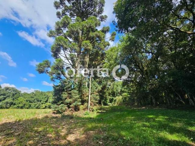 Chácara no Tietê, em Araucária