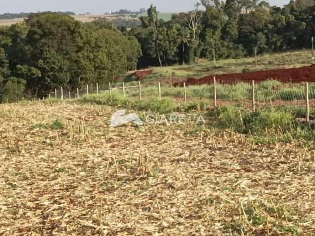 Chácara ótima para investimento à venda, ZONA RURAL, TOLEDO PR