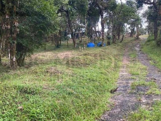 Chácara – Oportunidade imperdível em Quatro Barras / PR!