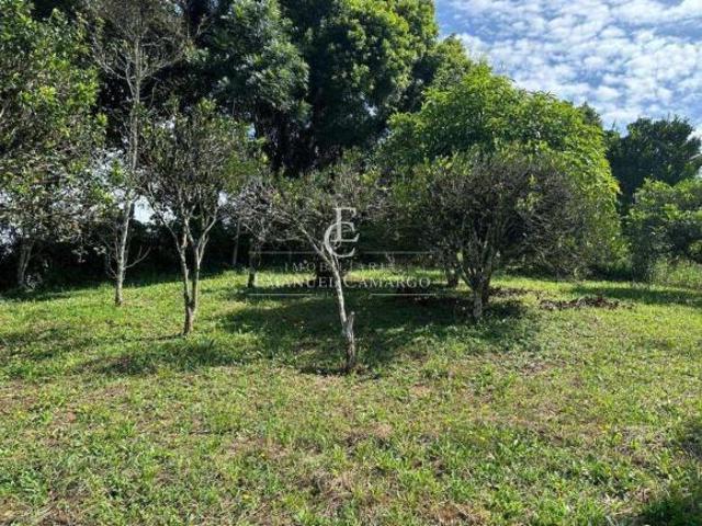 Chácara avenda em Piraquara PR