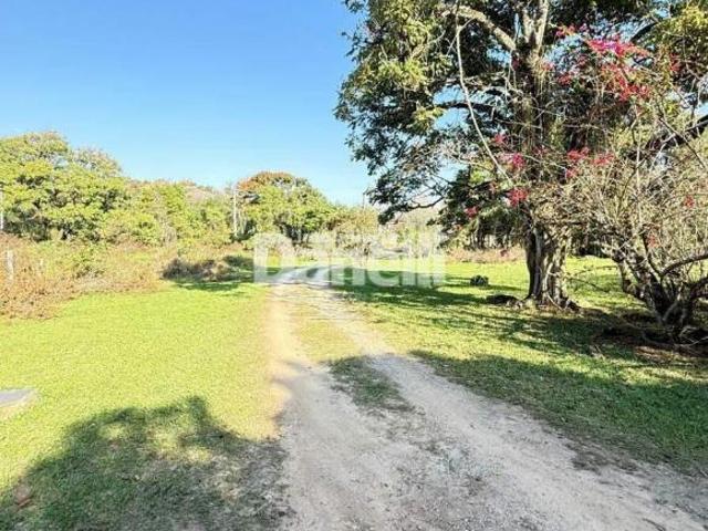 Chácara à venda, 3 quartos, 2 vagas, São Gonçalo Taubaté/SP