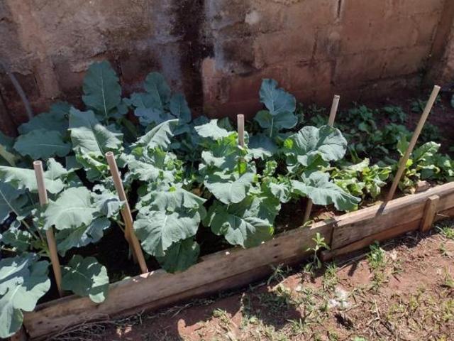 Chácara à venda 3 Quartos, 5 Vagas, 32900M², Barreiro, Taubaté SP