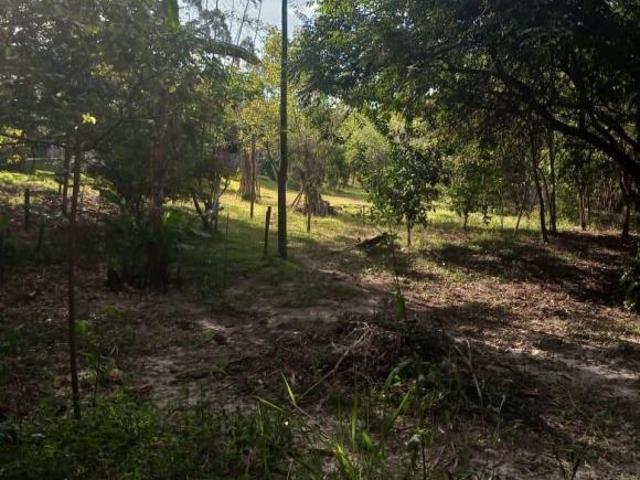 Chácara à venda, 10000 m² por R$ 350.000,00 Capela Velha Guareí/SP