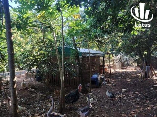 Chácara à venda, 1000 m² Chacara Artur Nogueira/SP