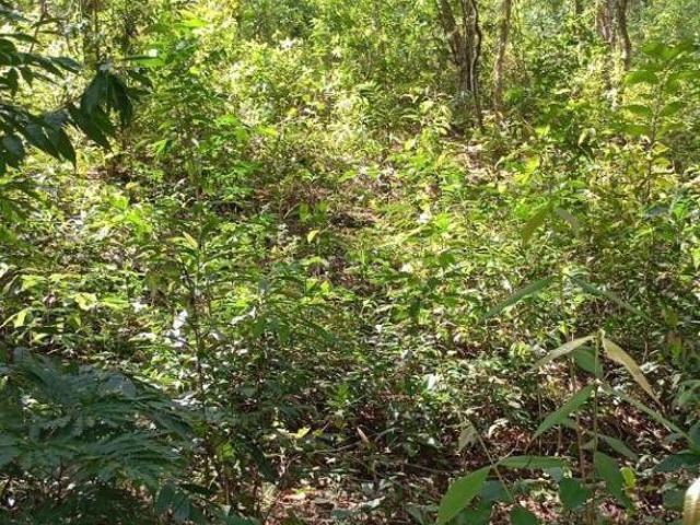 Chácara à venda, 1000 m² por R$ 90.000,00 Parque Do Lago Itatiaiuçu/MG