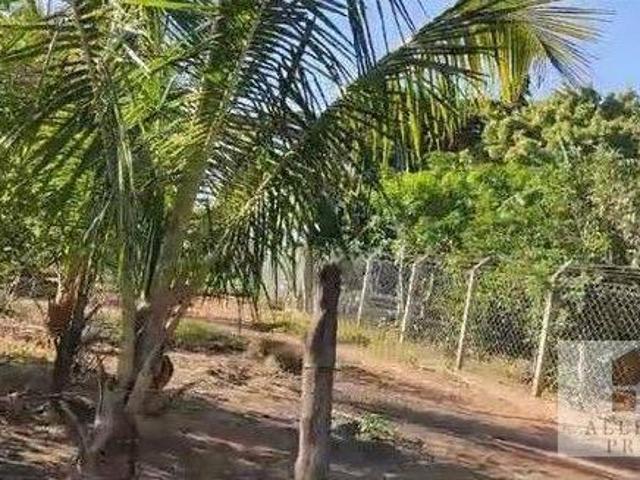 Chácara à venda, 1010 m² por R$ 210.000 Estância Vila Azul Zona Rural São José do Rio Preto/SP