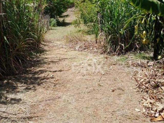 Chácara à venda, 1500 m² por R$ 202.000,00 Agua das flores Jataizinho/PR