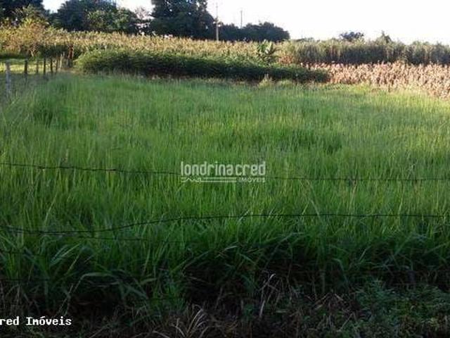 Chácara à venda 1500M², Zona Rural, Paiquerê PR