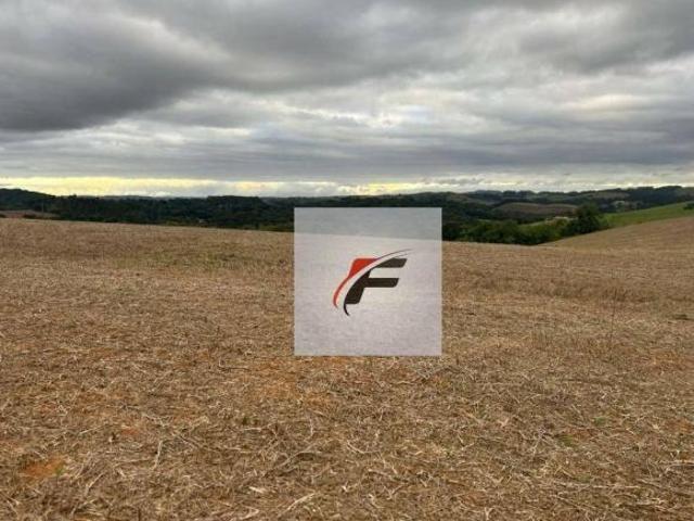 Chácara à venda, 168432 m² por R$ 1.100.000,00 Zona Rural Quitandinha/PR