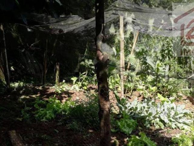 Chácara à venda, 16000 m² por R$ 850.000,00 Freitas São José dos Campos/SP
