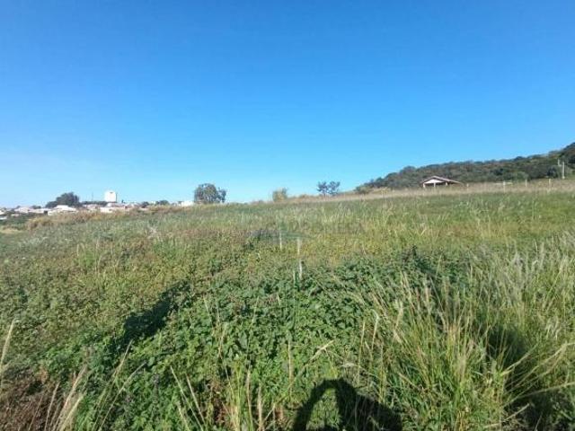 Chácara à venda, 1750 m² por R$ 185.000,00 Zona Rural Assaí/PR