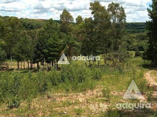 Chácara à venda 17545M², Centro, Palmeira PR