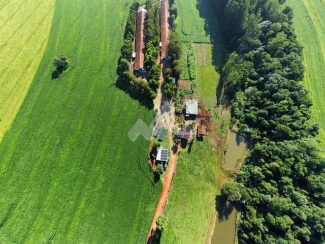 Chácara à venda,183920.00 m, São João D´oeste, CASCAVEL PR