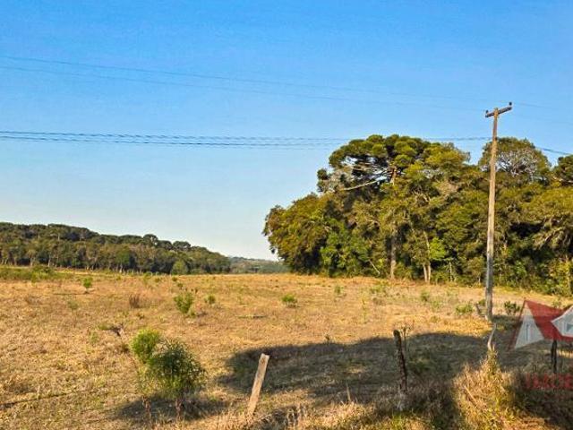 Chácara à Venda sem benfeitorias em São José dos Pinhais