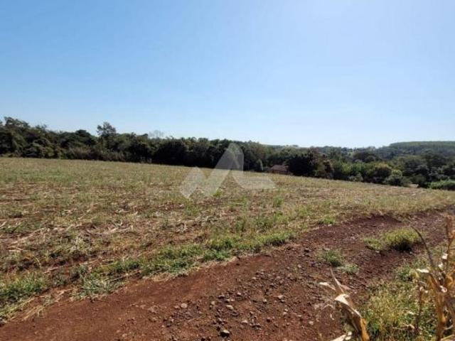 Chácara à venda,20000.00 m, Novo Sobradinho, TOLEDO PR