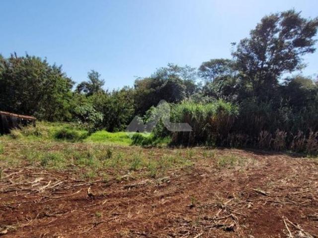 Chácara à venda,20000.00 m, Novo Sobradinho, TOLEDO PR