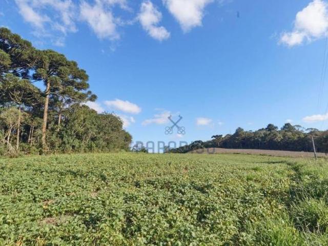 Chácara à venda, 20000 m² por R$ 450.000,00 Bateias Campo Largo/PR